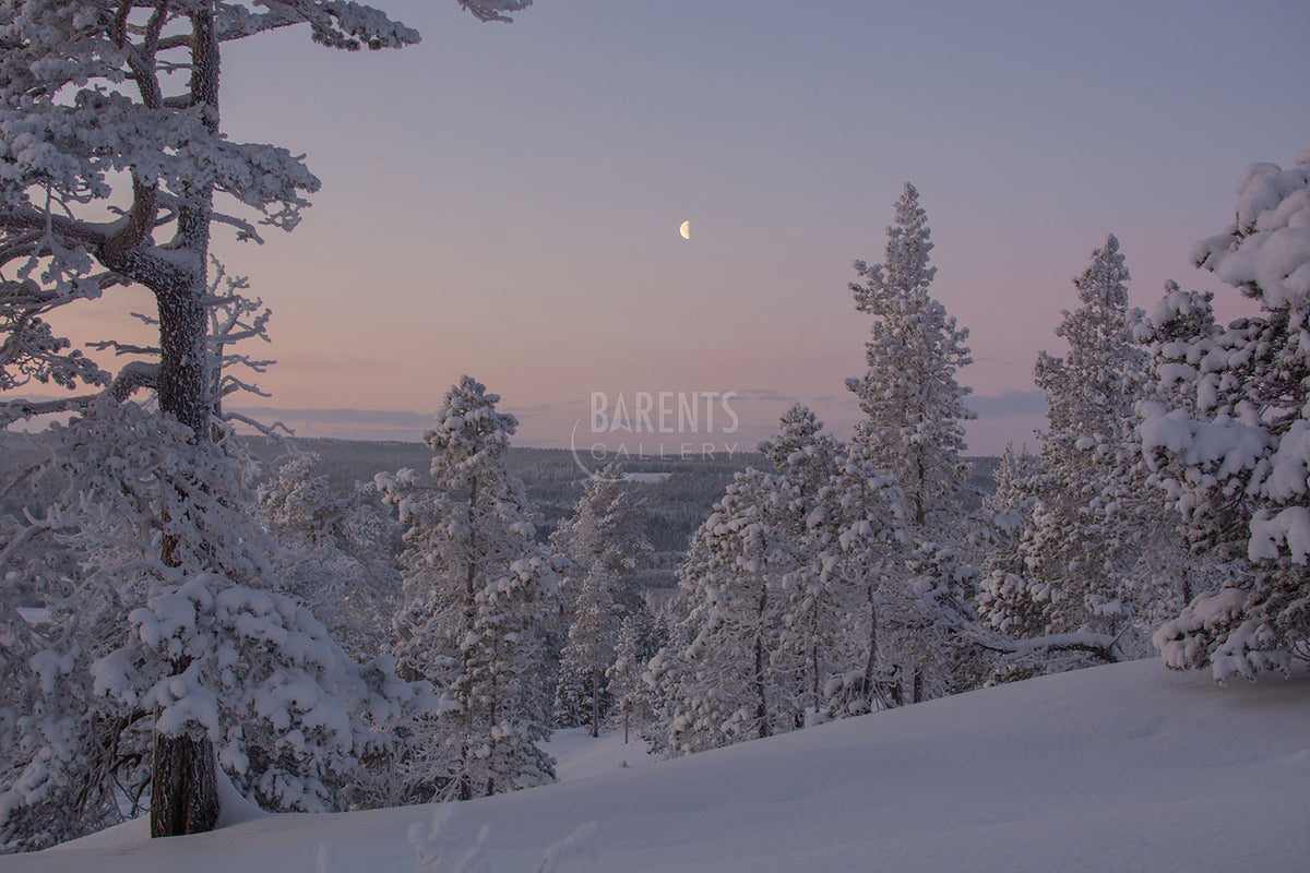 Vintermotiv Strand – Barentsgallery
